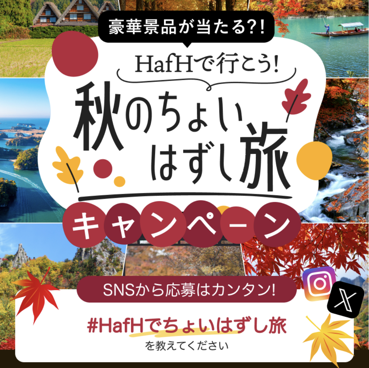 HafHにクーポンはある？200コイン（6,600円分）もらえる招待コード｜世田谷ローカル（SETAGAYA LOCAL）